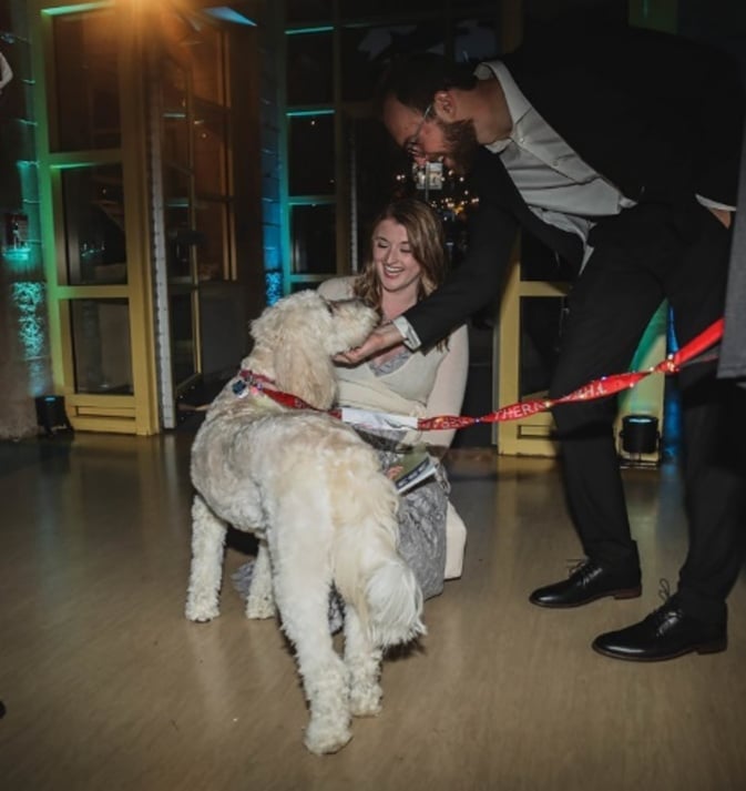 A New Age of Technology for Animal Friends in Pittsburgh